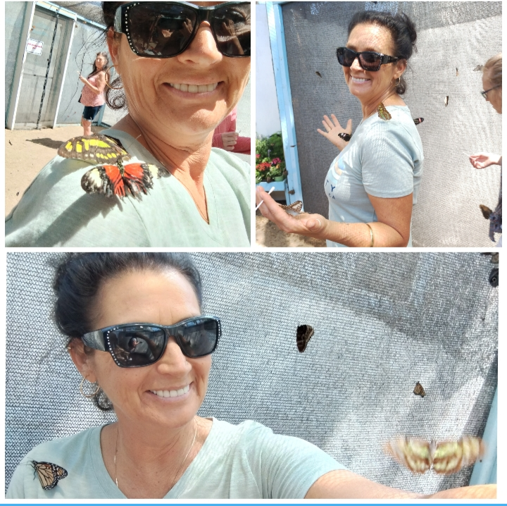 OC Fair Butterflies & The Painted Veil – Fearless Aries