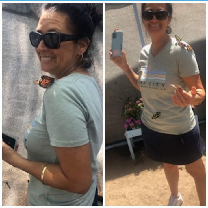 OC Fair Butterflies & The Painted Veil – Fearless Aries